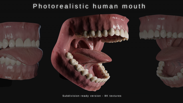 Photorealistic human mouth 3d model | Best Of 3d Models